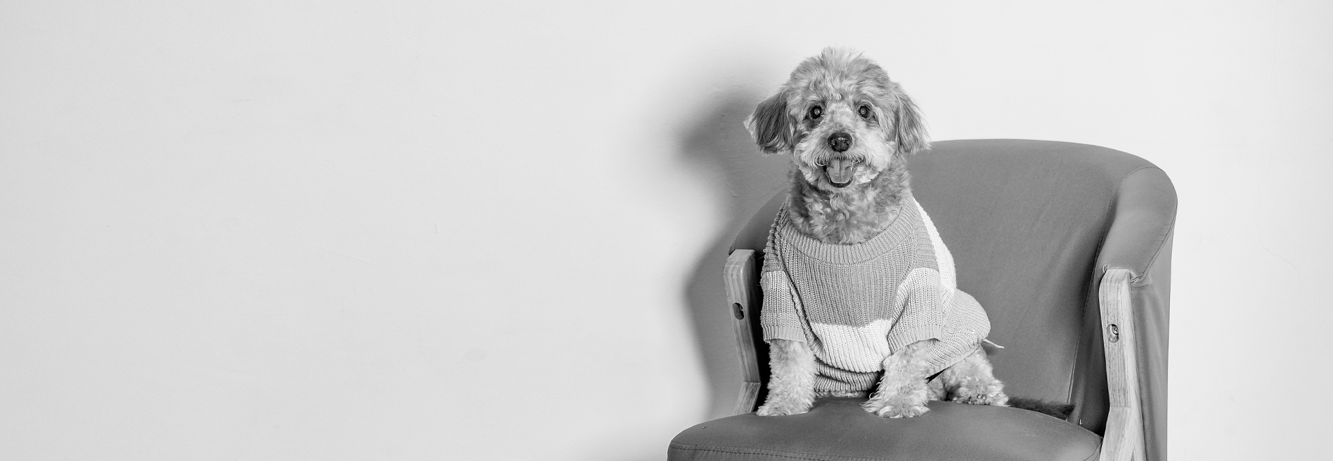 AiPet Pet Memorial – AiPet Pet Memorial offers Customised Pet Funeral ...